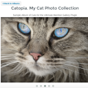 Ultimate Member Plugin - Gallery for Ultimate Member - Ultimate Member ...